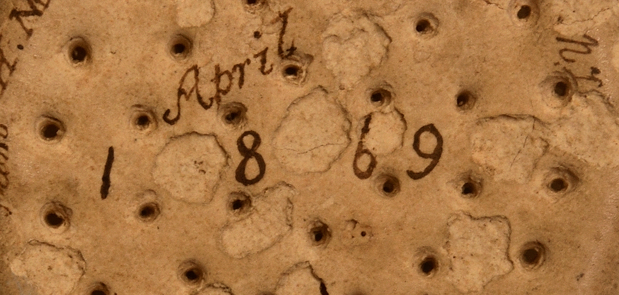 Ship’s biscuit baking activity | Aratoi — Wairarapa Museum of Art and ...