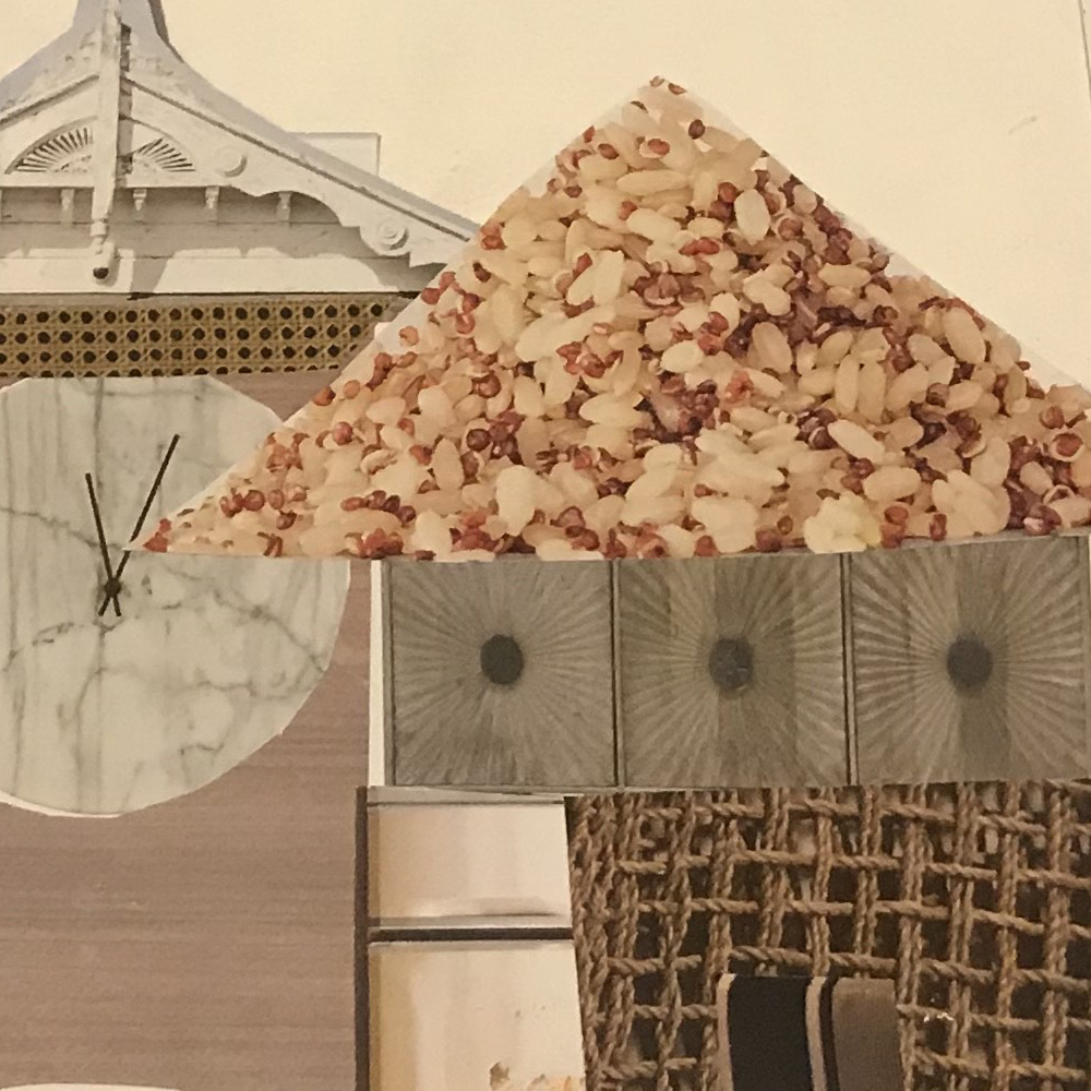 Robin White Art Activity | Aratoi — Wairarapa Museum of Art and History