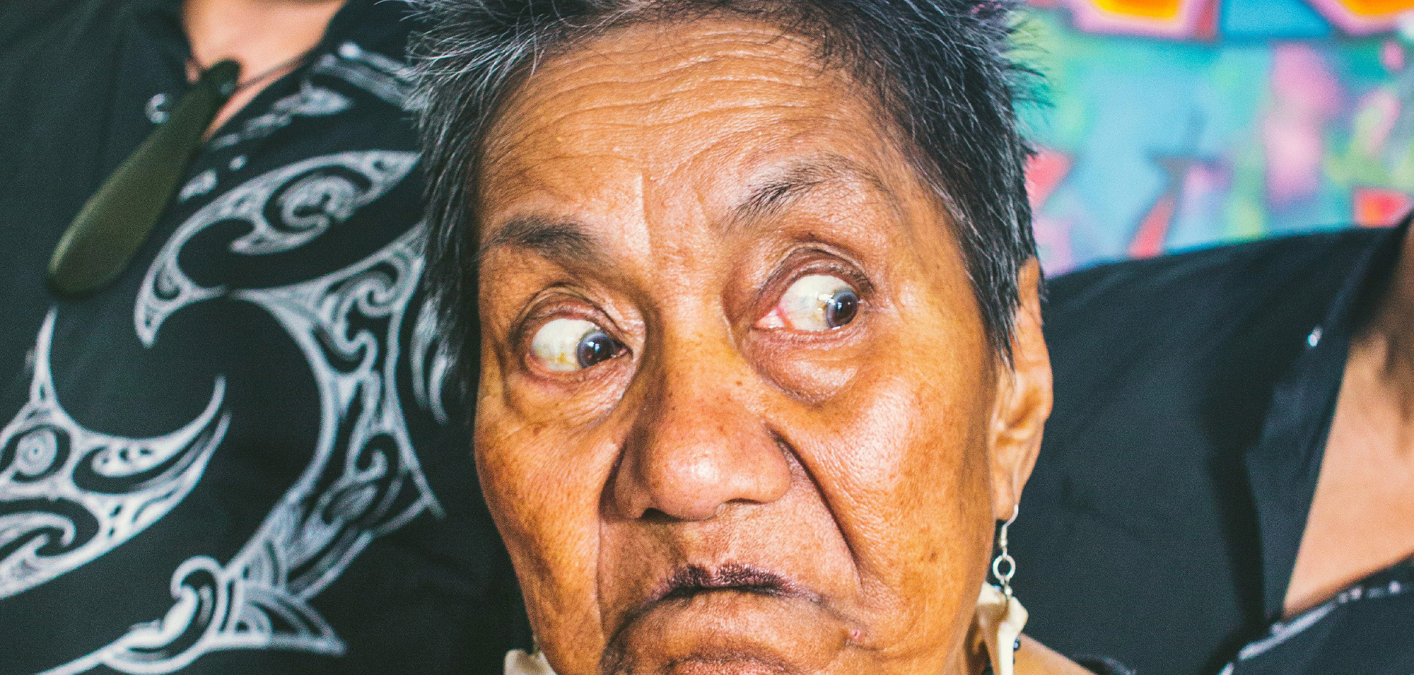 Aratoi, Wairarapa Museum of Art and History