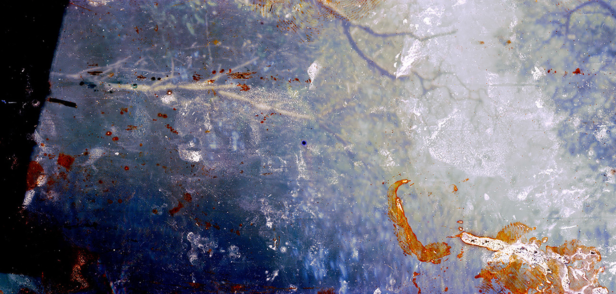 Exhibitions | Aratoi — Wairarapa Museum of Art and History