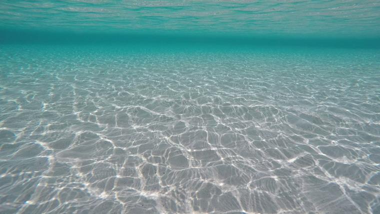 Denise Batchelor : just one breath | Aratoi — Wairarapa Museum of Art ...